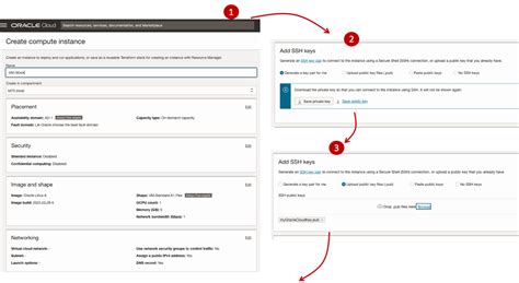 machine learning app migration to oracle cloud vm oralytics