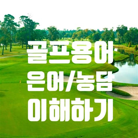 필드에서 바로 통하는 골프 용어 사전은어편옆집 살림 아우디 쪼루 일파만파 네이버 블로그