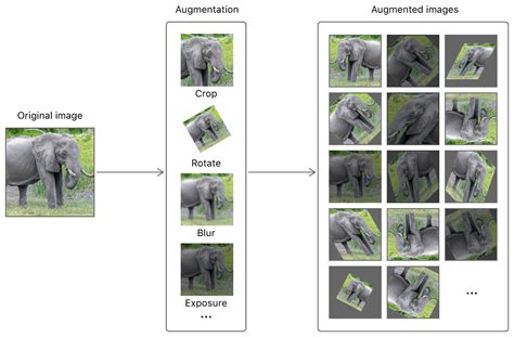 Coreml3 Easy Image Classification Model Training Using Xcode Create Ml By Rizal Hilman The