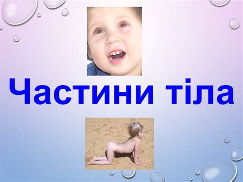 Презентація на тему Частини тіла