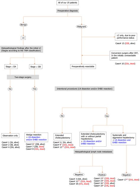 Comprehensive Flowchart Of Important Points In Our Patients Important