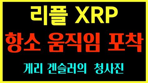 리플 항소 움직임 포착 게리 겐슬러의 청사진 리플 Sec 승소 패소 합의 Xrp Ipo 나스닥 재상장 토레스 리플sec Edxm 피델리티 세력