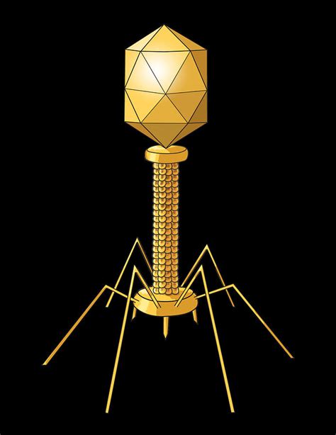 Virus Shape Enveloped Illustration 1 Photograph By Monica Schroeder