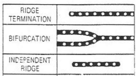 Fingerprint Classification Technical Information