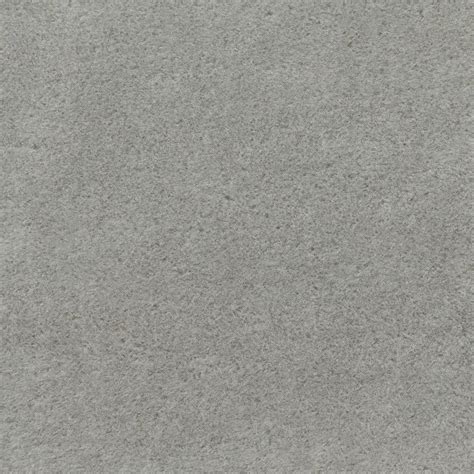 Fuzzy Wuzzy Steam Holly Hunt