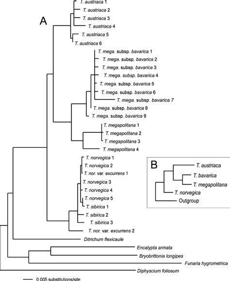 A 50 Majority Rule Phylogram Consensus Tree From Four Bayesian