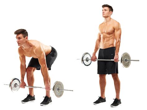 Importance Of Exercise For Bone Health Dr Aditya Kapoor