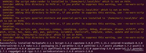 Pwn虚拟机 如何在windows下安装pwntools Linux安装pwntools后无法使用checksecwin可以用