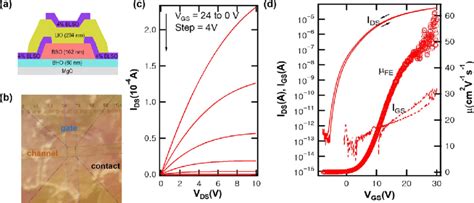 Structure And I V Characteristic Of The Fet Device Based On An Download Scientific Diagram