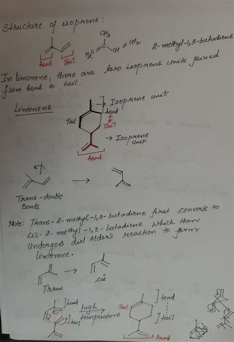 Isoprene Units