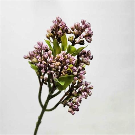Artificial Berry Stem Purple 40cm Desflora