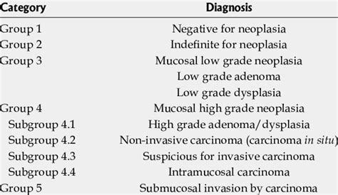 Revised Vienna Classification Of Gastrointestinal Epithelial Neoplasia