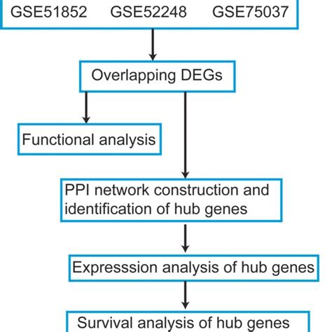 Workflow Diagram Of The Present Study Using Bioinformatics Analysis And