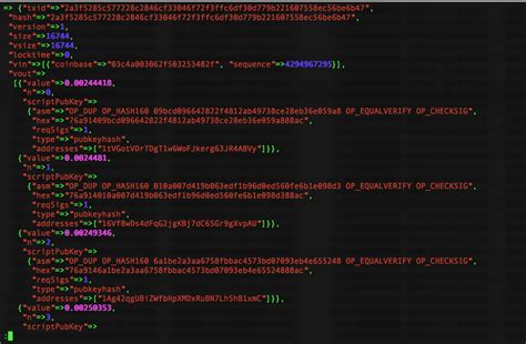 I Am Converting Bitcoin Blockchain To Sql And Dilum Navanjana Online