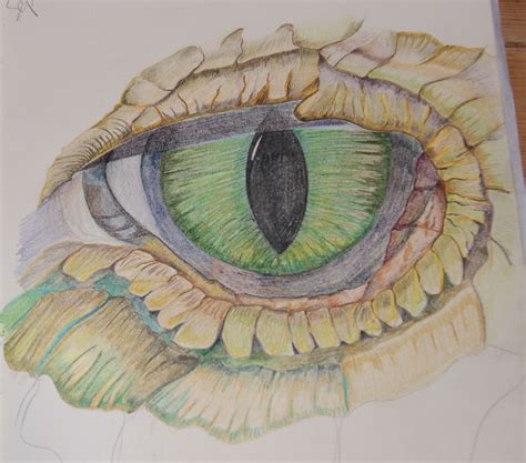 Dragons Eye Drawing Doodle Using Derwent Colouring Pencils Dragon