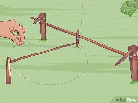 How To Make A Snare Trap A Diy Guide For Beginners