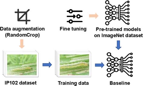 Figure 1 From Deep Learning Hierarchical Methods For Insect Pest Recognition On Plants