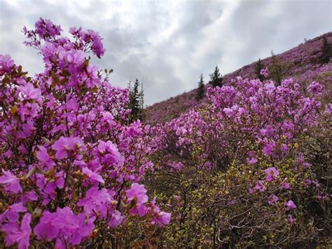 Влюбиться в Алтай за выходные насыщенное путешествие в мини группе 🧭 цена тура 18360 руб 6
