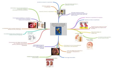 Principales Causas De Mortalidad En Mujeres Jovenes Peru 2015 Image