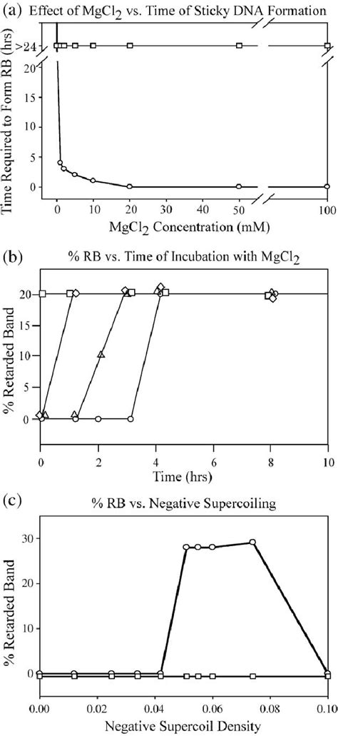 Effect Of Mgcl 2 Negative Supercoiling And Time On Amount Of The Download Scientific Diagram