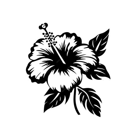 Hibiscus Flower Clipart Black And White