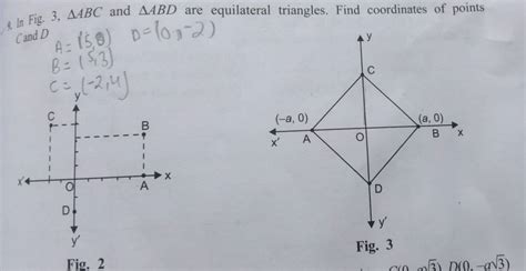 In Fig 3 Abc And Abd Are Equilateral Triangles Find Coordinates Of P