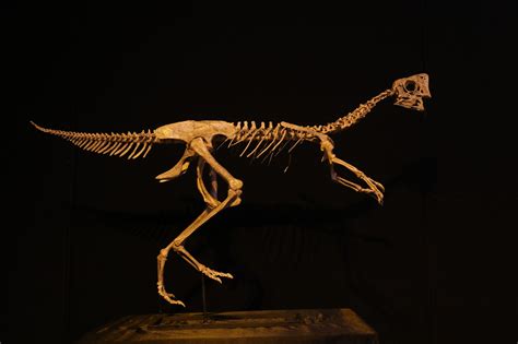 ҮЛЭГ ГҮРВЭЛИЙН 16 ОЛДВОРЫГ ЭХ ОРОНДОО БУЦААН АВЧИРЛАА Humanz