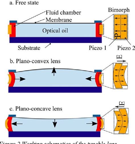 Figure 1 From A One Inch Aperture Piezoelectric Tunable Lens With Small