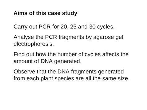 Ppt Carry Out Pcr For 20 25 And 30 Cycles Analyse The Pcr Fragments