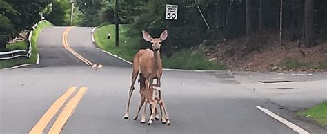 Delayed R Sparkdriver