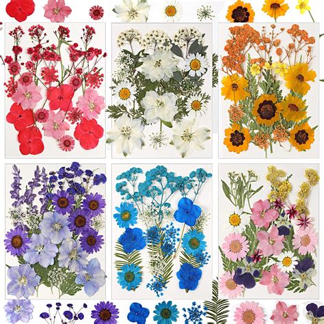 140 Pcs Dried Pressed Flowers For Resin Real Pressed