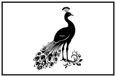 Peacock Bird Vector Silhouette Graphic By N Pattern · Creative Fabrica