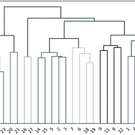 Dendrogram Structure Visualization Of Hierarchical Clustering Based On