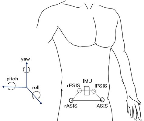 Positions And Coordinate System Of The Inertial Measurement Unit Imu