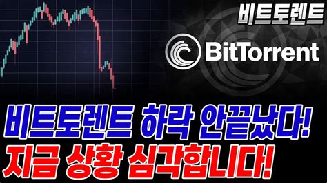 비트토렌트 하락 아직 안끝났습니다 지금 상황 심각합니다 빨리 대응하세요 Youtube