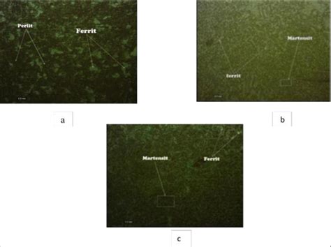 The Microstructure Specimen On Pack Carburizing Treatment At Download Scientific Diagram