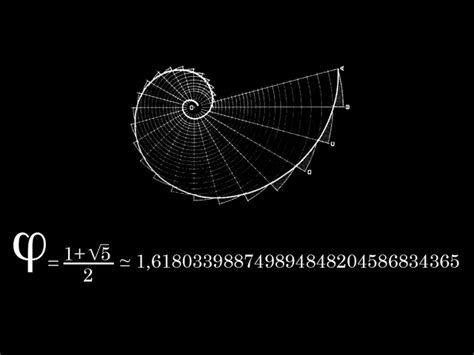 Fibonacci Spiral In Mathematics