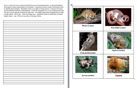 Amy Brown Science Teach Classification And Make It Fun