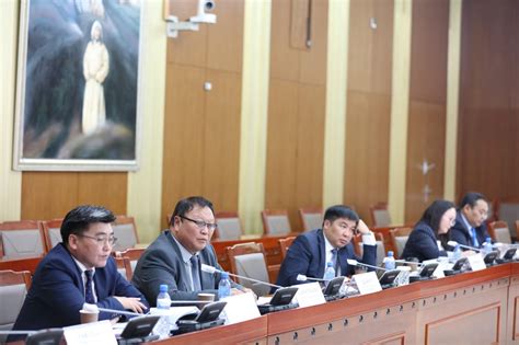 Д Амарбаясгалан Төр аливаа төрлийн бизнес эрхлэхээс татгалзана Энэ бодлоготой хуулийн төслүүд