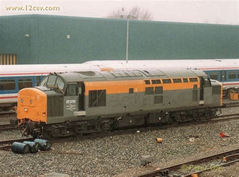 Eeg Classes Class 373