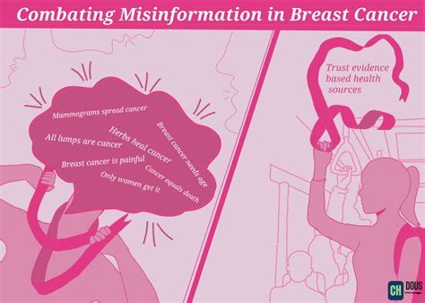 Combating Misinformation In Breast Cancer World Ebhc Day