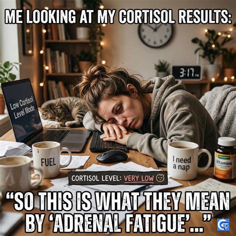 Cortisol Level Low Meme S And Images When Stress Takes A Day Off