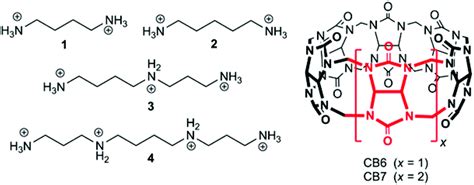 Cucurbiturils As Supramolecular Inhibitors Of Dna Restriction By Type Ii Endonucleases Organic