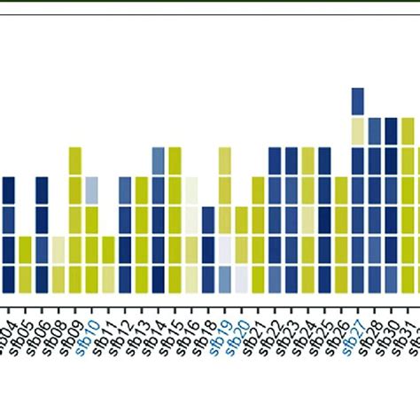 overview of copy number status for all biopsies on segment wise a and