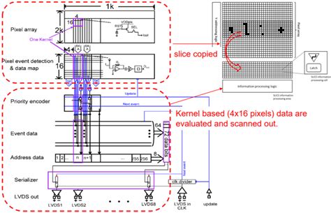 caeleste patents “sparse readout” method caeleste