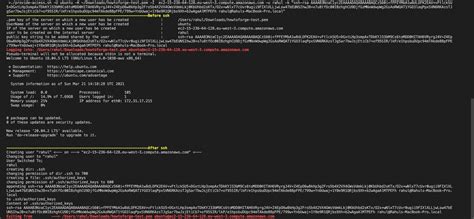 How To Create A User On Linux Ec2 Instance On Aws And Add A Public Key To It Using A Shell Script