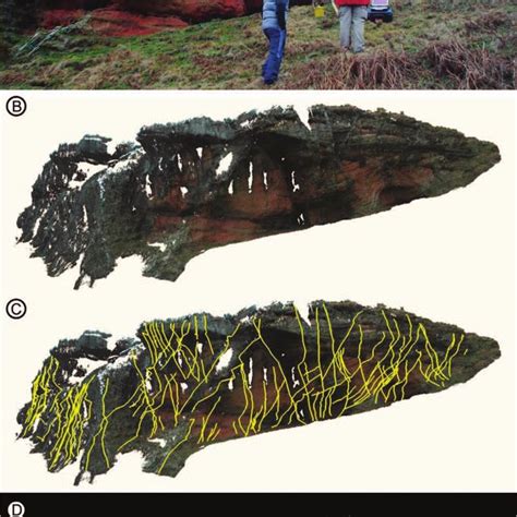 Pdf Extending Digital Outcrop Geology Into The Subsurface