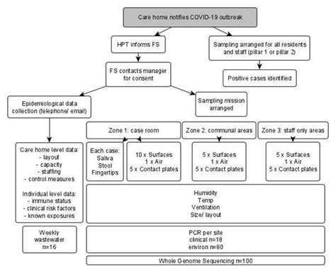 Summary Workflow For Outbreak Investigation Download Scientific Diagram
