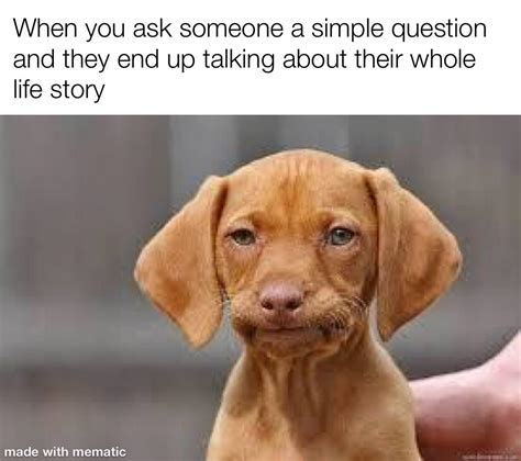 What Have I Gotten Myself Into R Meme