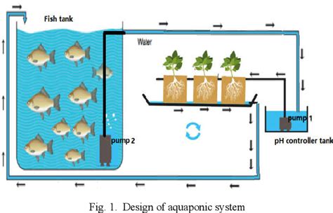 Figure 1 From Iot Design And Water Monitoring Of An Aquaponic System